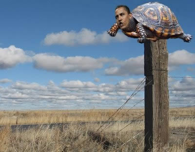 Lenny Vasbinder - Rants, Raves, Opinions & Information - From Computer ...